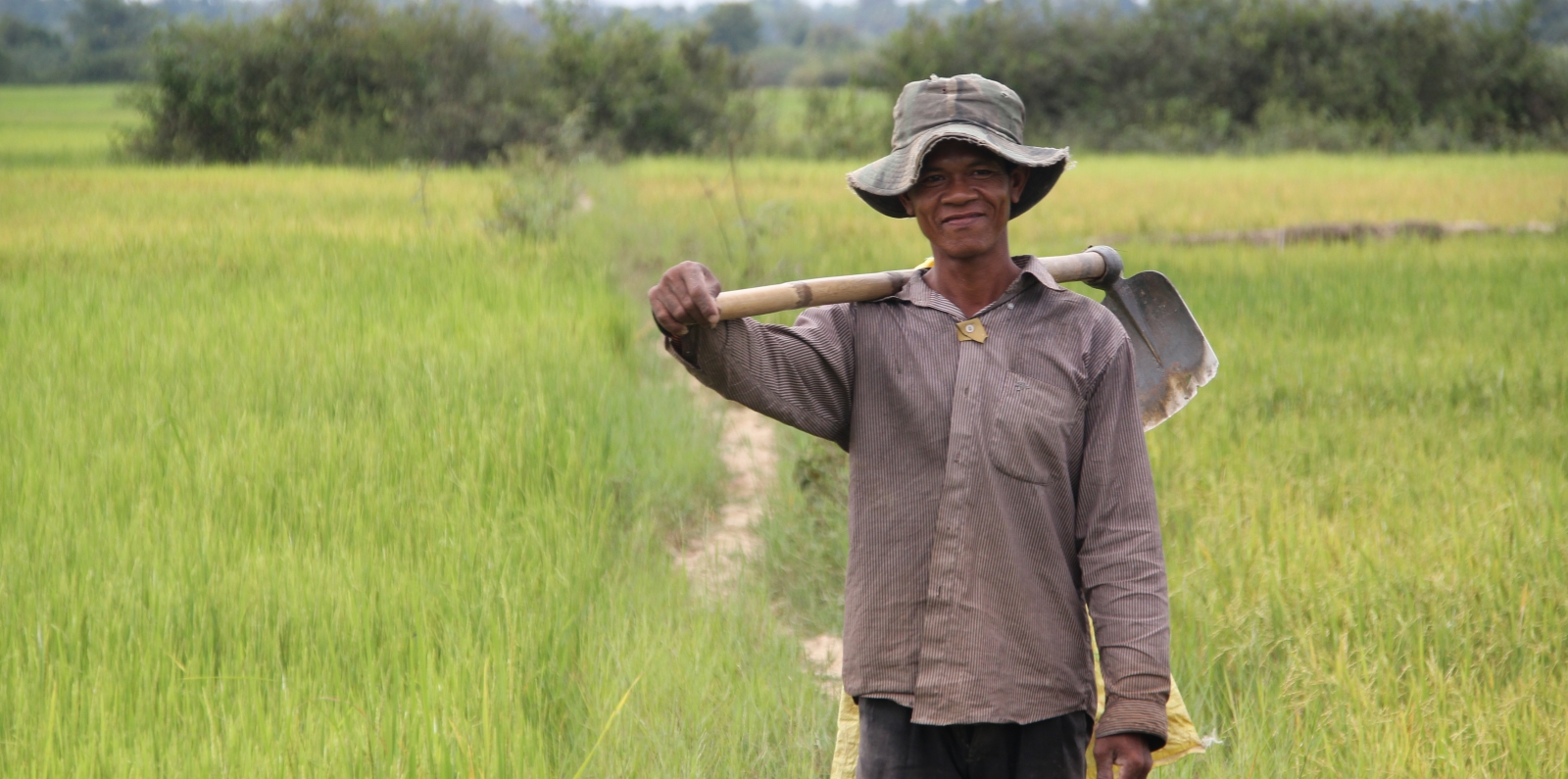 Strengthening farmer resilience in Cambodia's rice paddies | Global ...